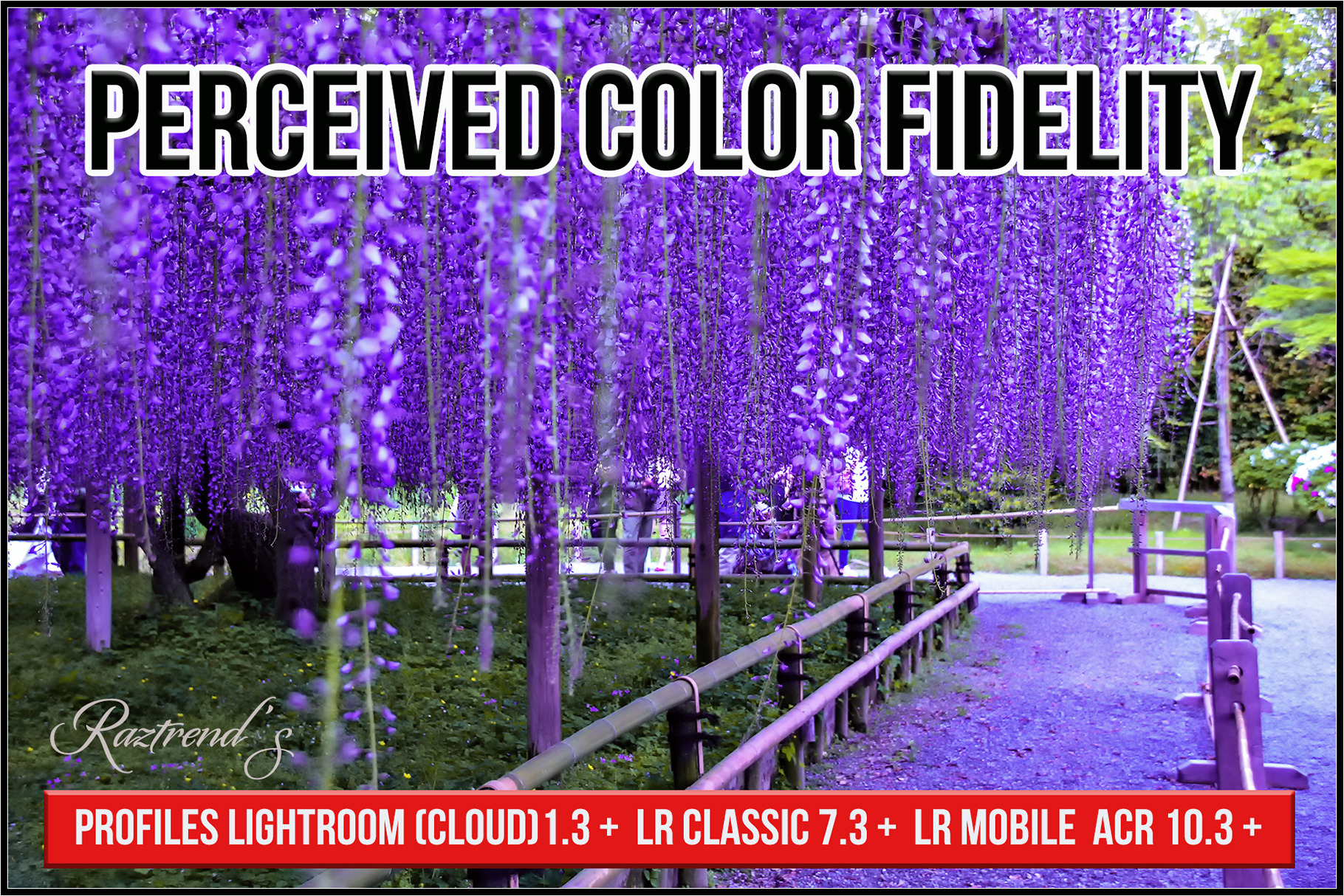 Perceived Color Fidelity profiles, a Plug-in Add-On by Raztrend