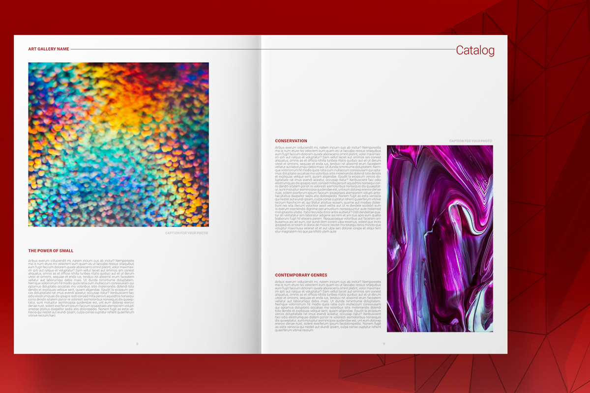 Art Gallery Exhibition Catalog, a Brochure Template by Boris Cupac