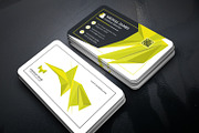 Business Card, a Business Card Template by Curve Design