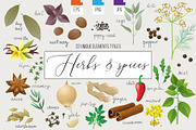 Herbs and spices super set, a Food Illustration by vectorillustration