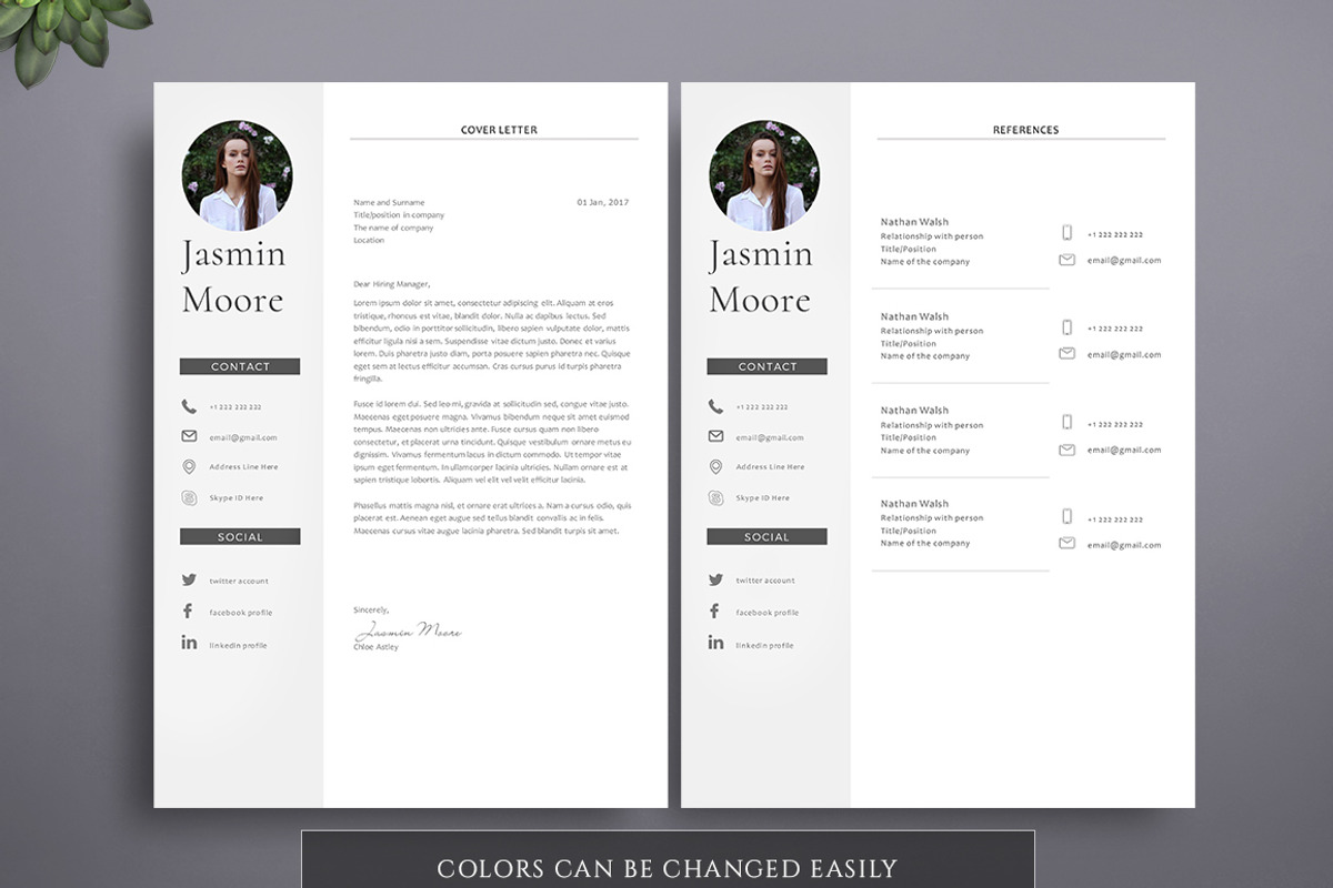 1 Page Professional Resume Template, a Resume Template by VisionTemplates