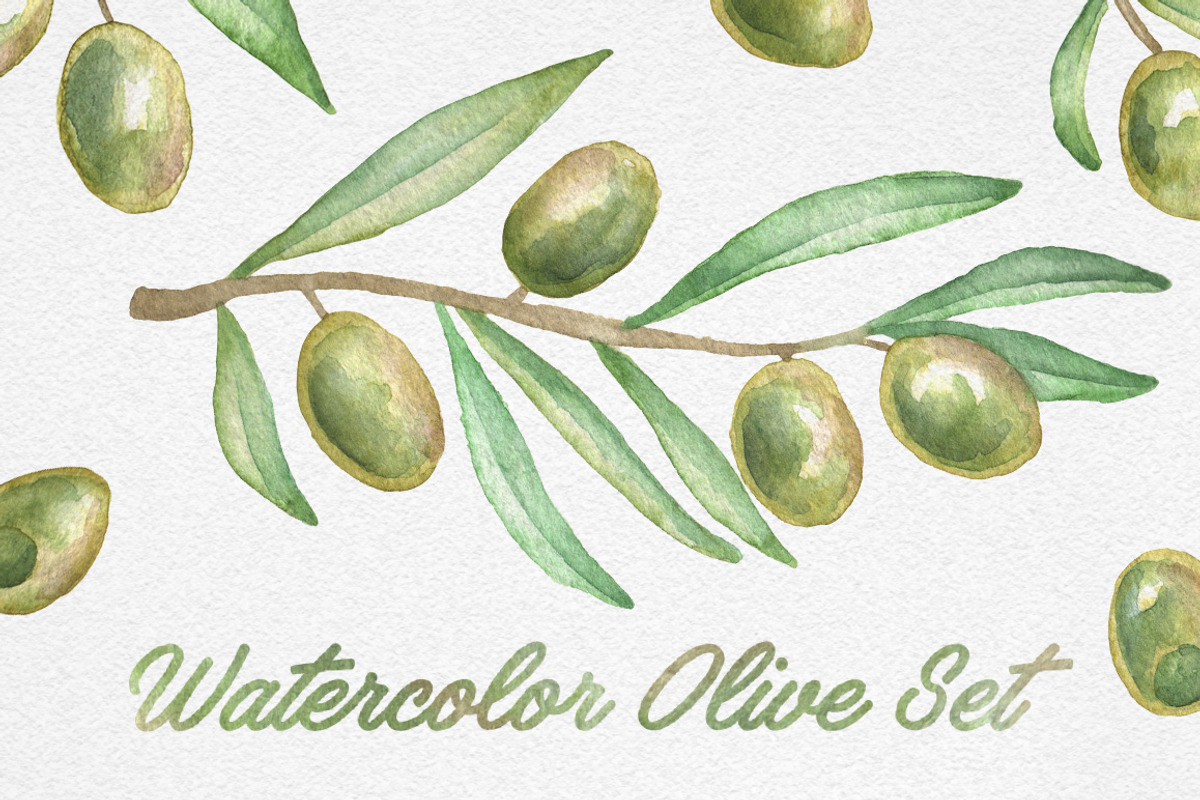 Watercolor Olive Set, a Food Illustration by Chelovector