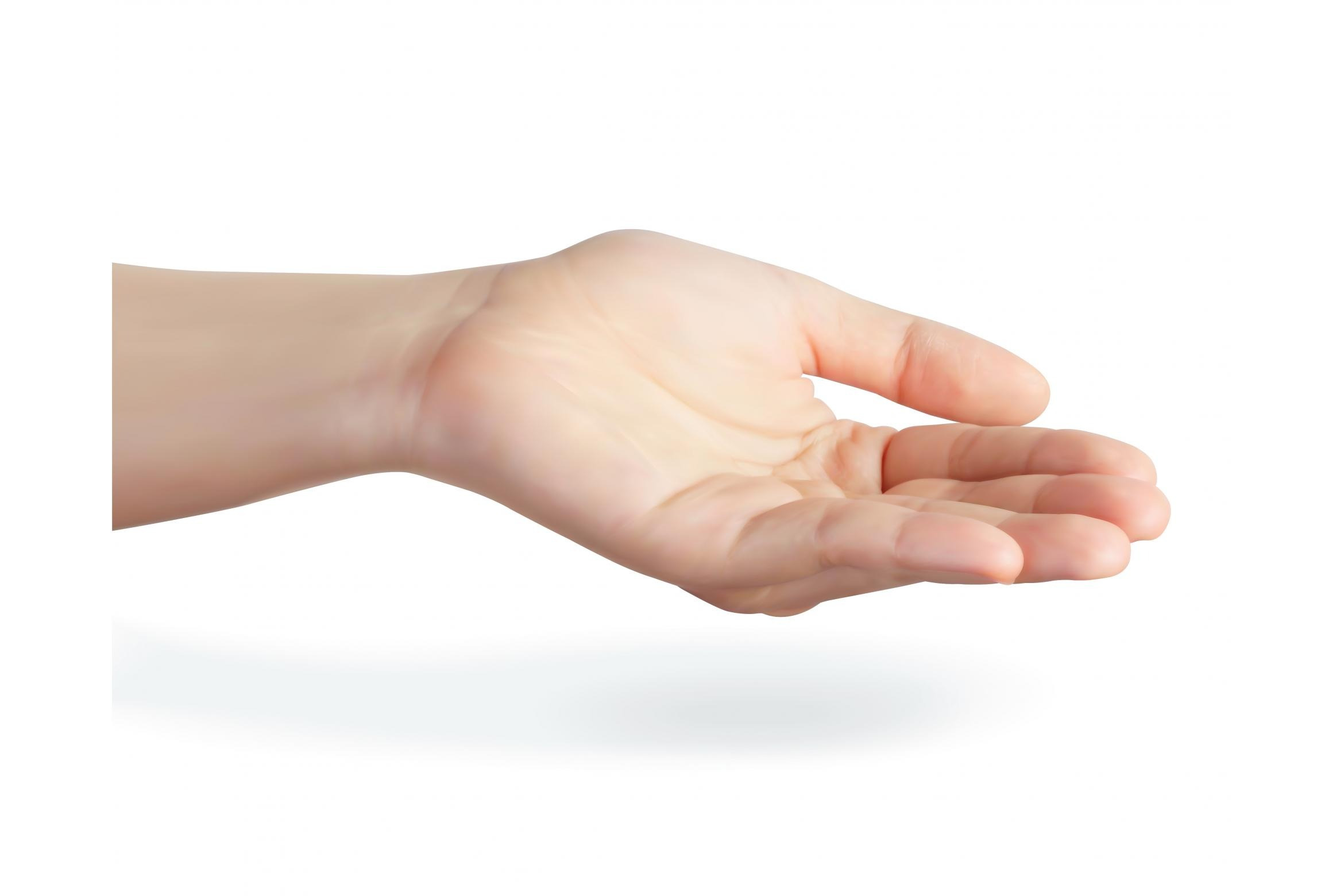 Realistic 3D female open hand, an Object Graphic by TotallypicRF