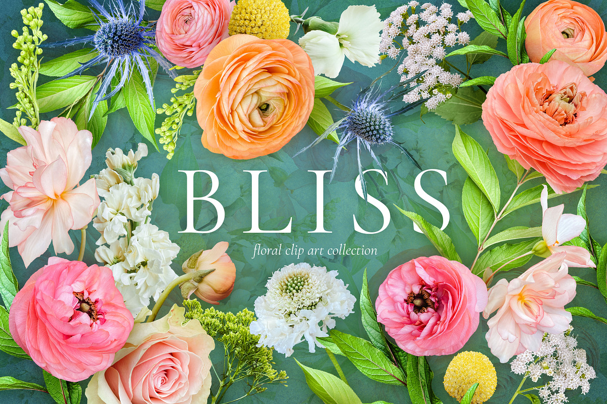 Bliss Floral Clip Art Collection, an Object Graphic by Eclectic Anthology