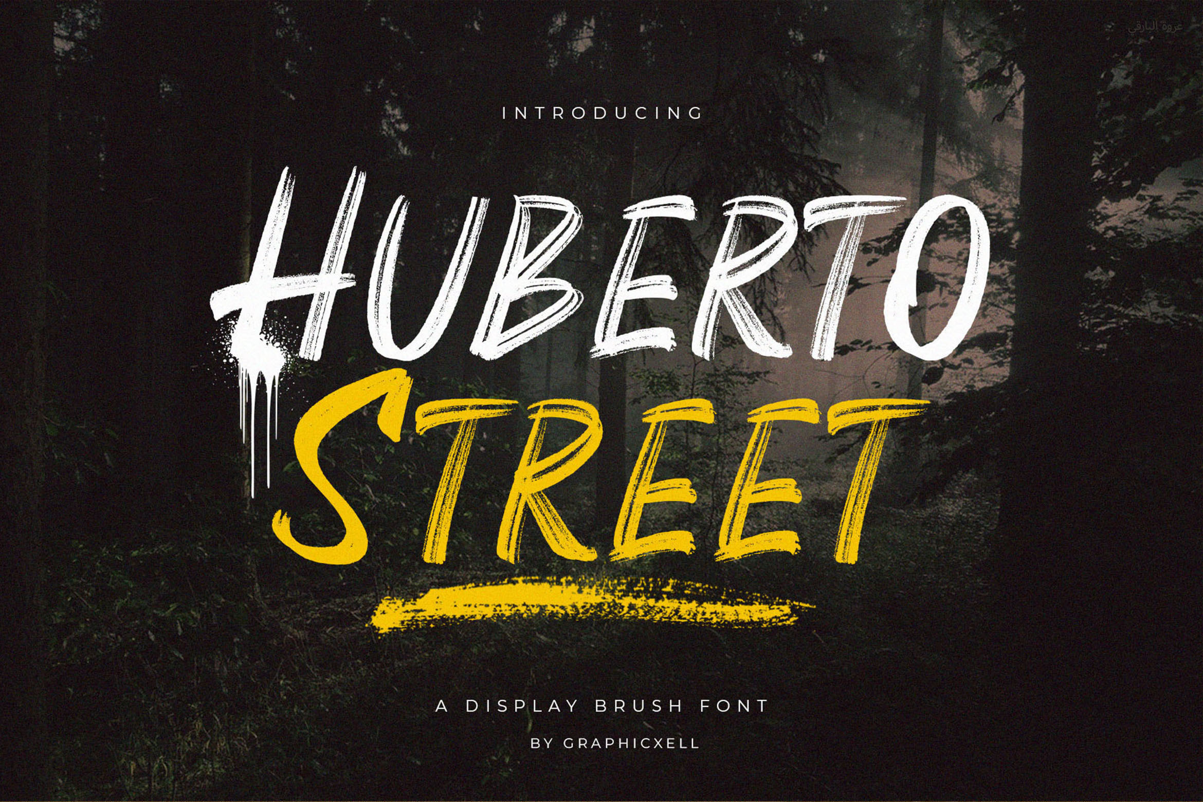 Huberto Street Brush Font by Graphicxell | Creative Market