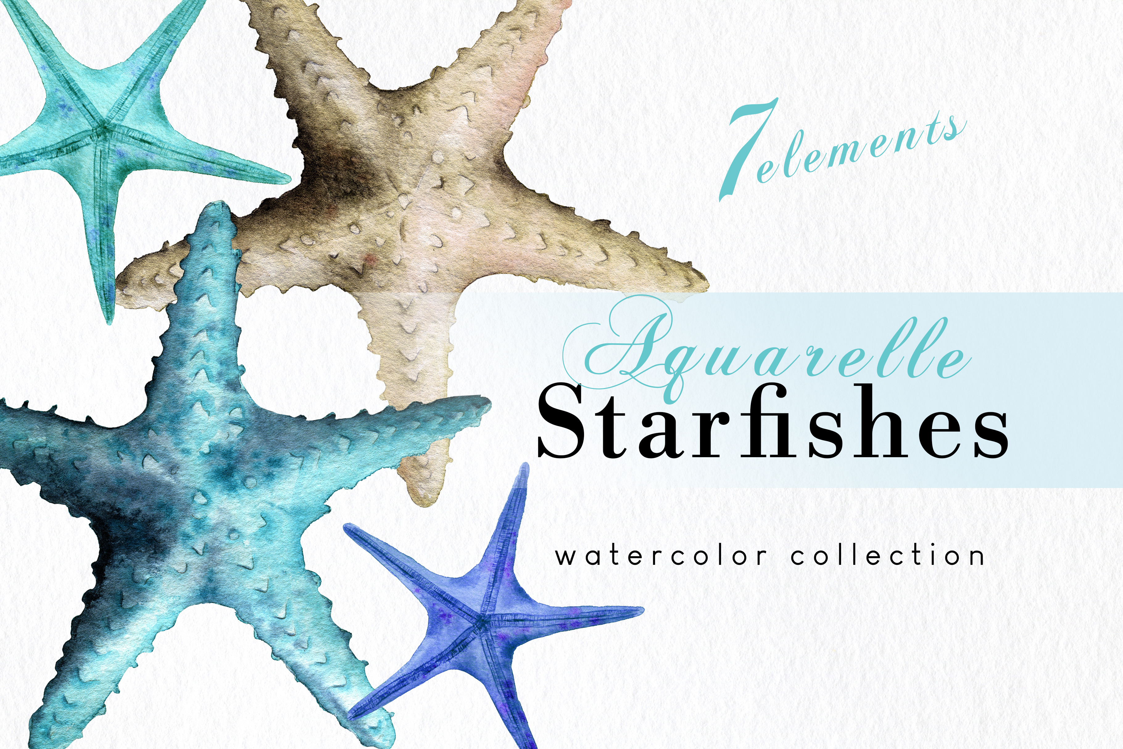 Beach Starfish Clipart Set, an Illustration by Ksenia Shmakova