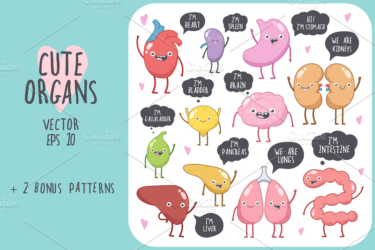 Cute Organs, a Healthcare Illustration by Imaginasty