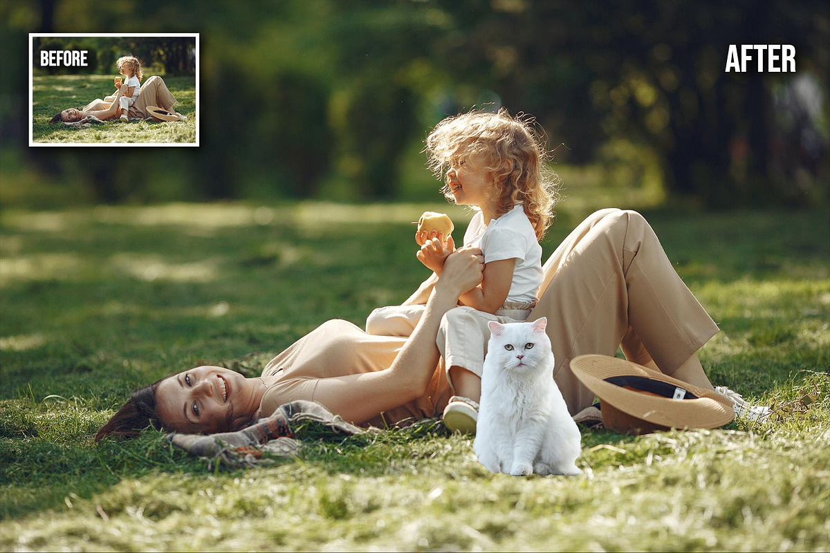 28 Cat Photoshop Overlays