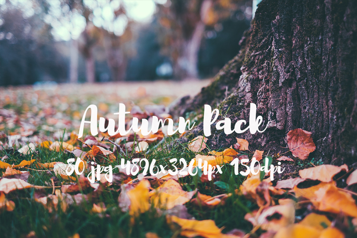 Autumn Pack, a Templates & Theme by ApertureVintage | Creative Market