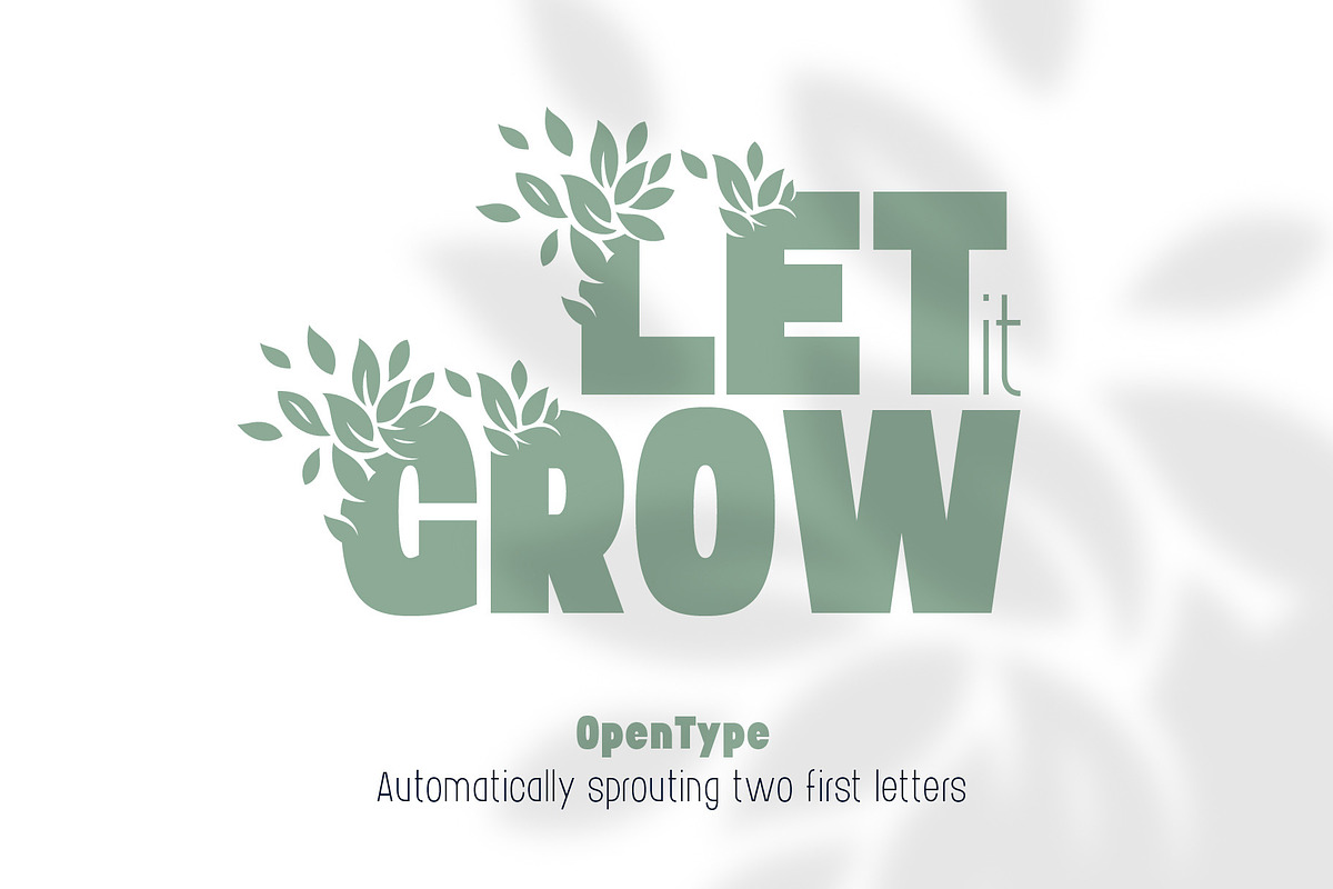 Bushman font set, a Sans Serif Font by Gleb Guralnyk | Creative Market