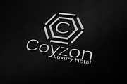 Coyzon | Branding & Logo Templates ~ Creative Market