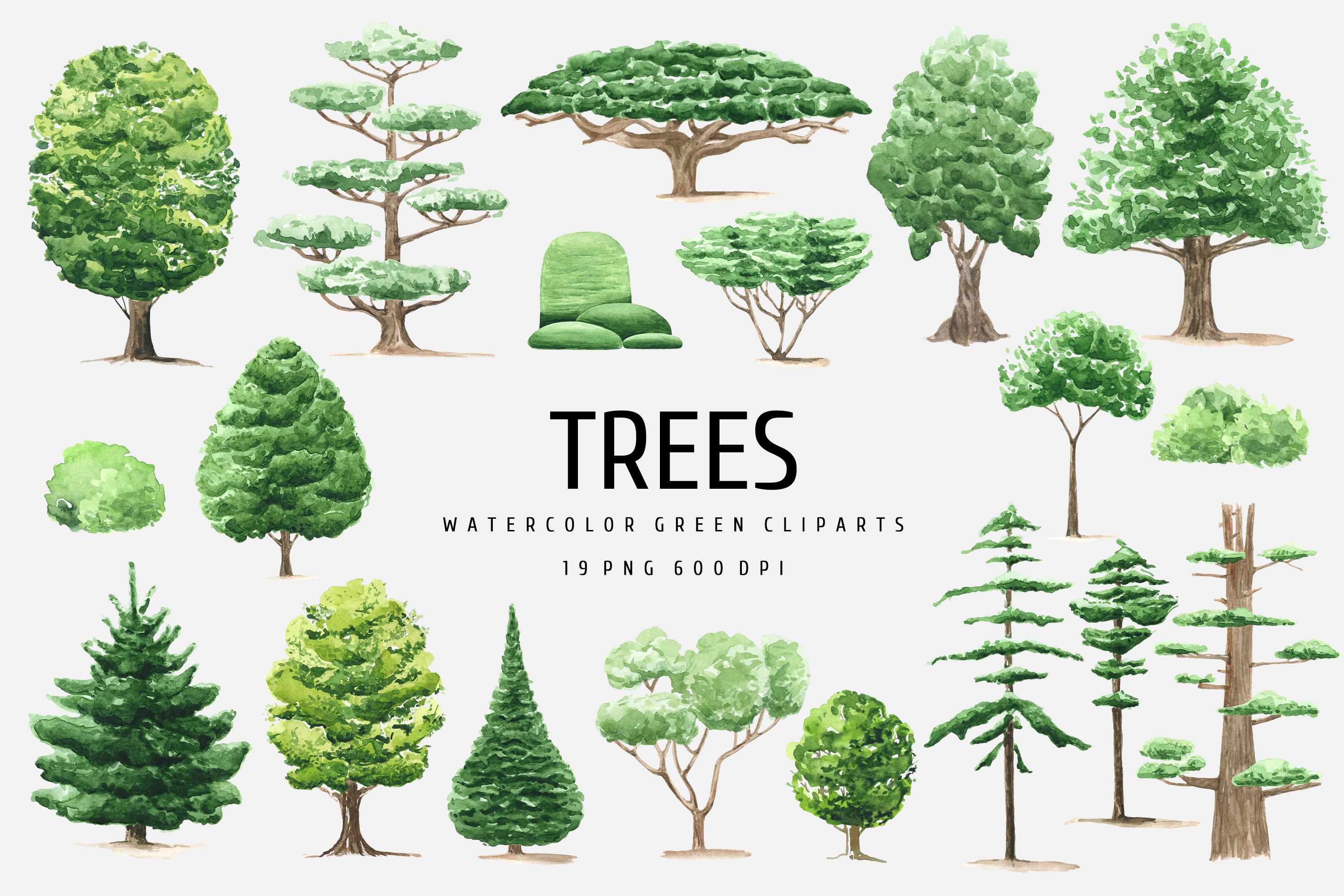 Watercolor Tree Clipart