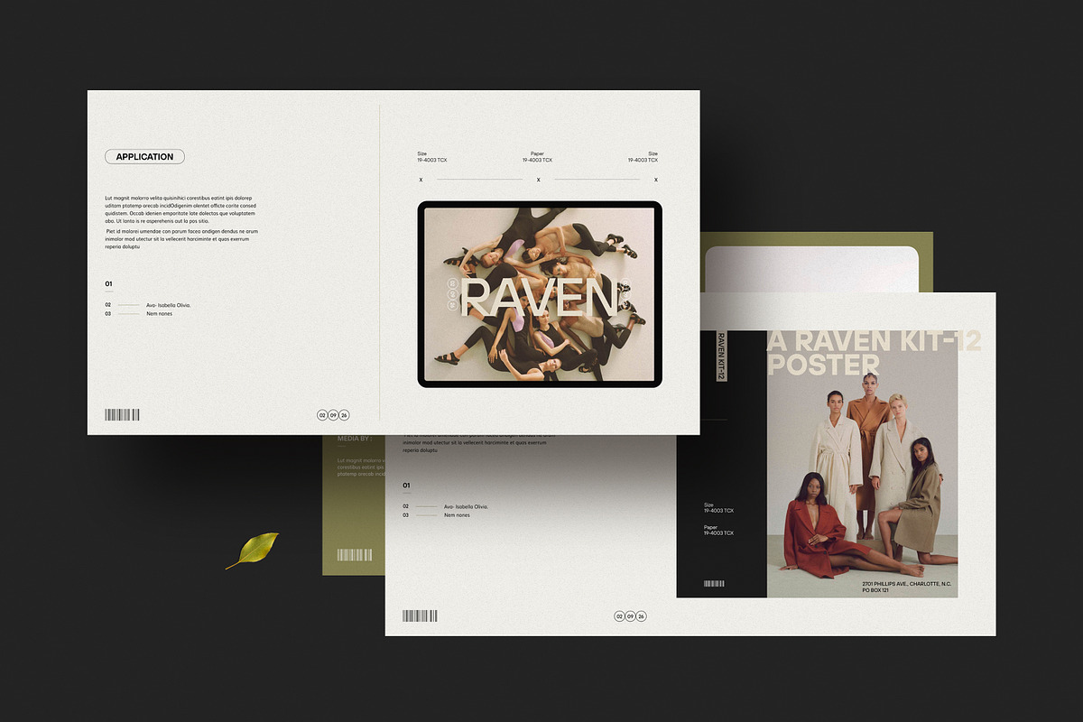 Raven | Brand Guidelines, a Presentation Template by GoldenPixelStudio