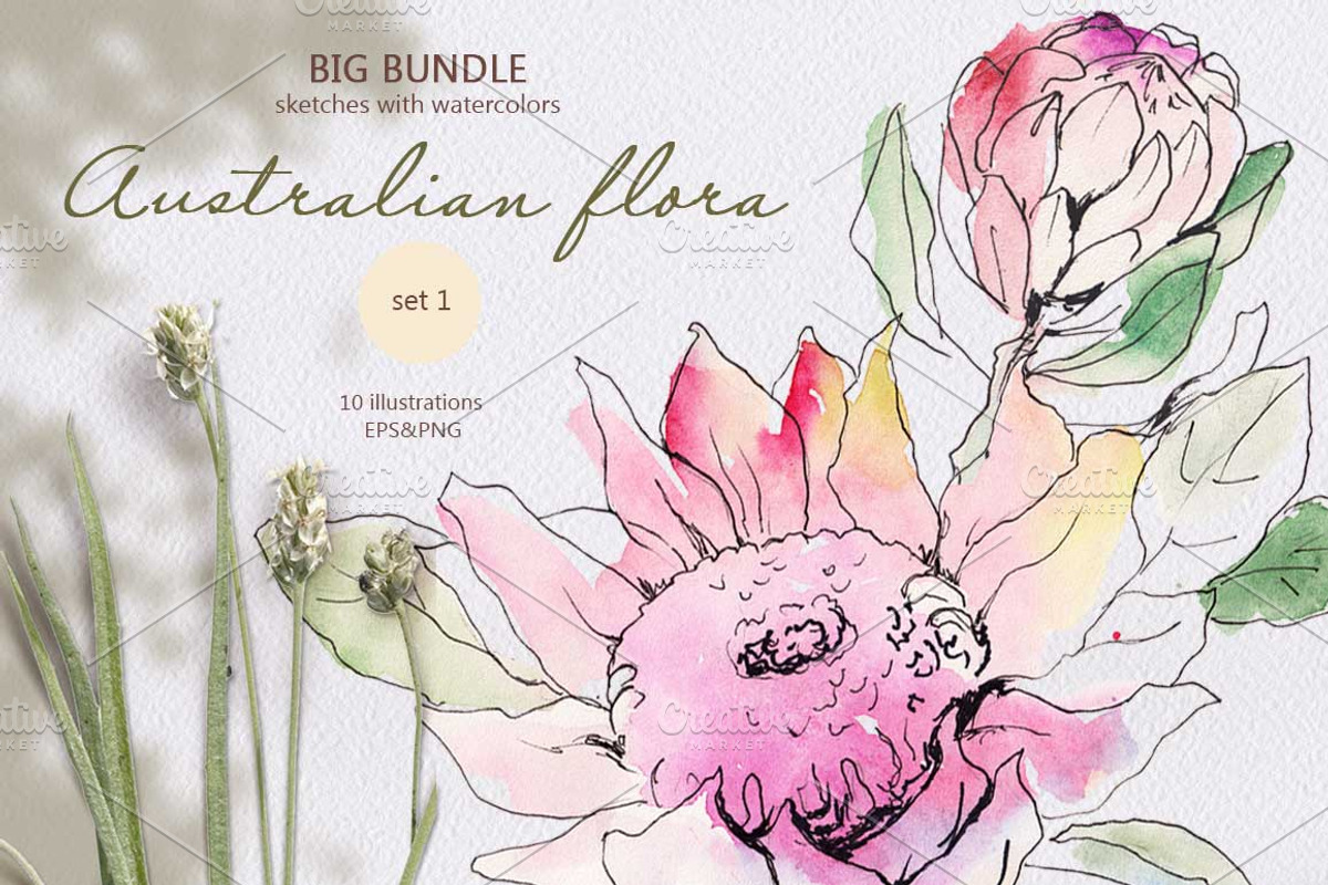 Australian flora. Set 1, an Illustration by luchioly