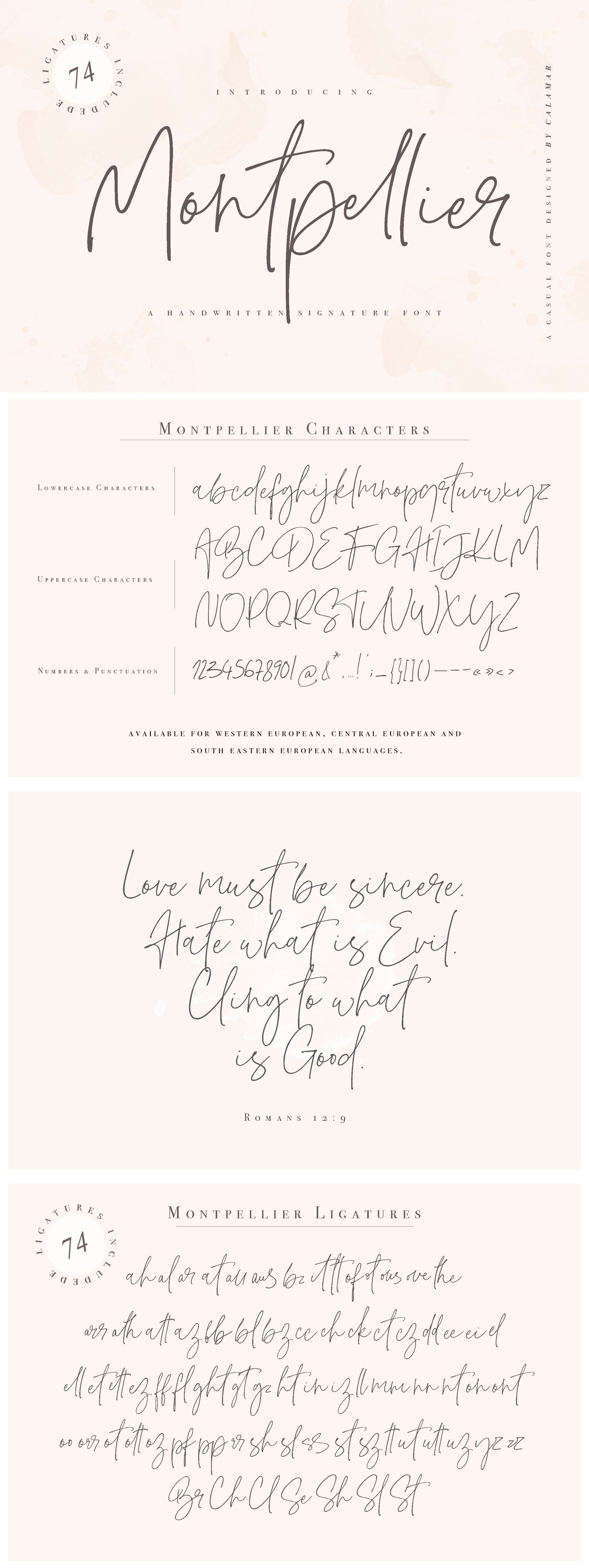Montpellier | Signature Font, a Script Font by Calamar Studio