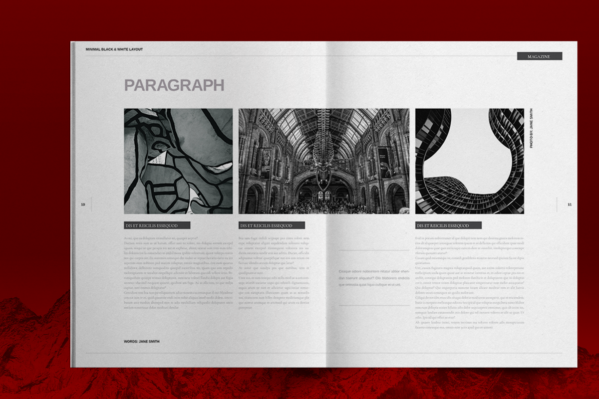 Grayscale Magazine Layout | Creative Market