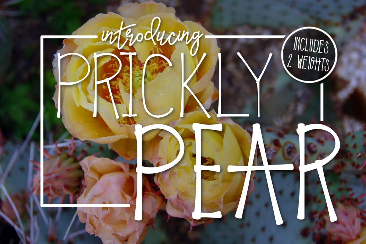 Prickly Pear a Handwritten Typeface, a Handwritten Font by Kitaleigh