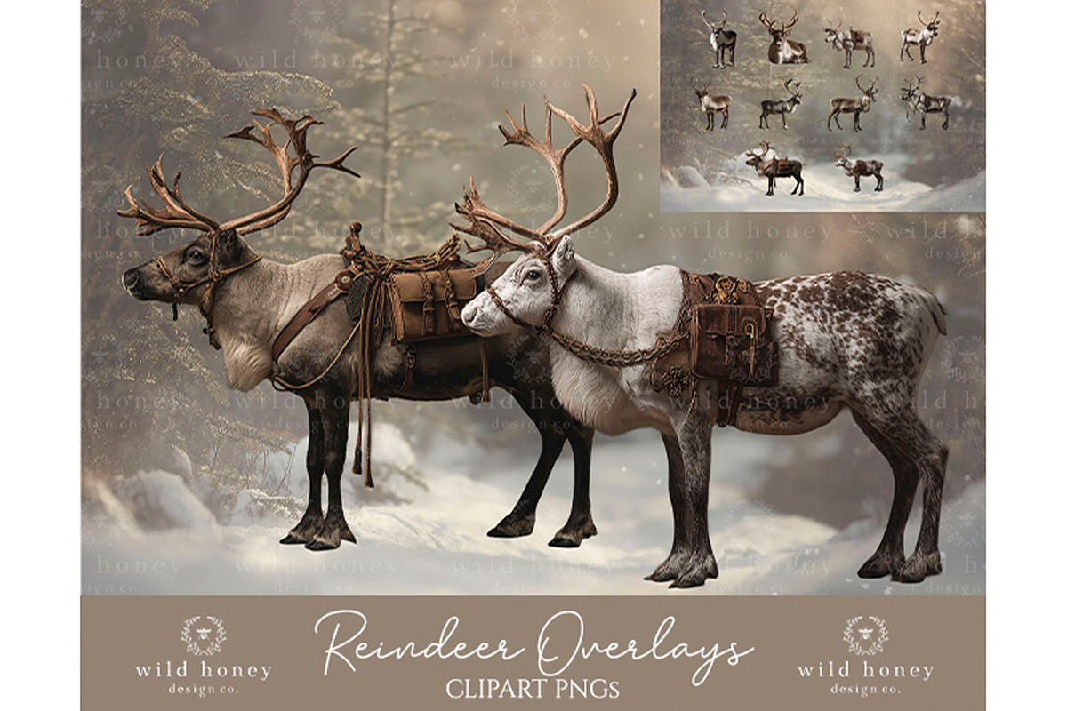 Reindeer PNG Overlays, an Object Graphic by Wild Honey Design Co.