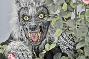 Werewolf and Roses | Holiday Stock Photos ~ Creative Market