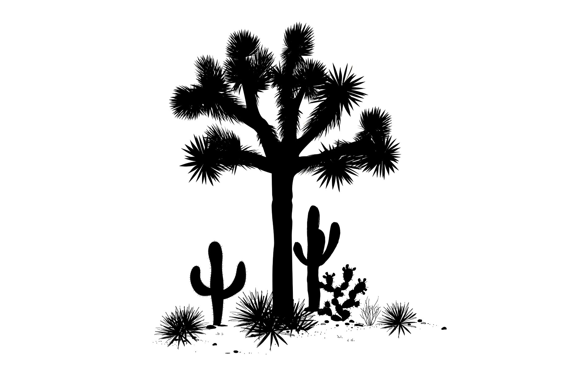 Outline landscape with Joshua tree, an Illustration by Toltemara