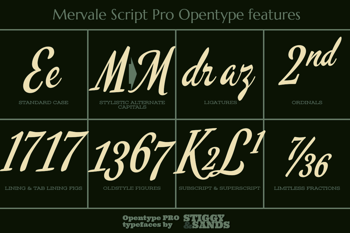 Mervale Script Pro, a Script Font by Stiggy & Sands