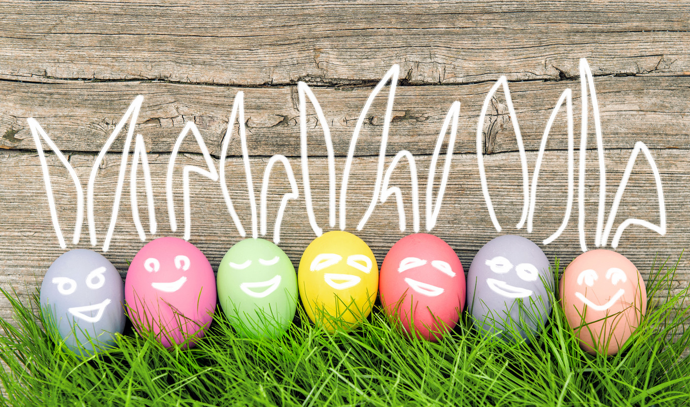 Funny bunny smiling easter eggs, a Holiday Photo by LiliGraphie