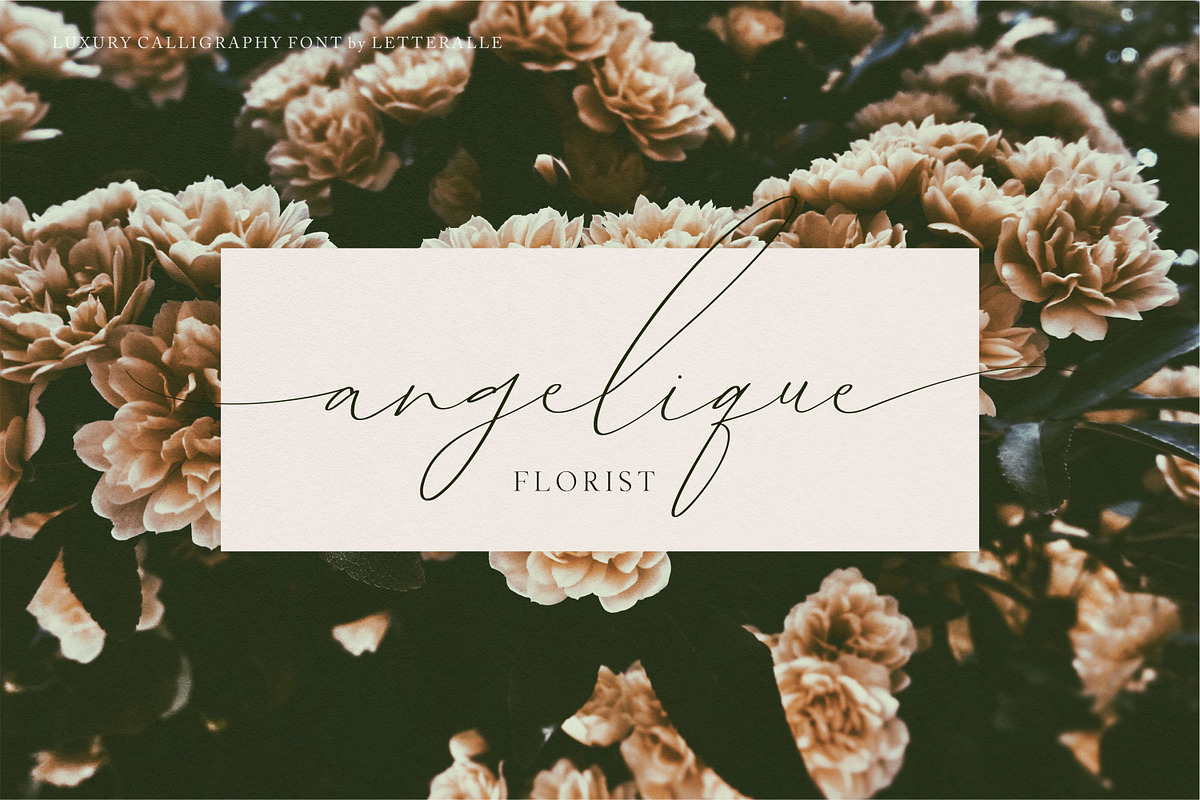 Sophia Martini Calligraphy Script Font | Creative Market