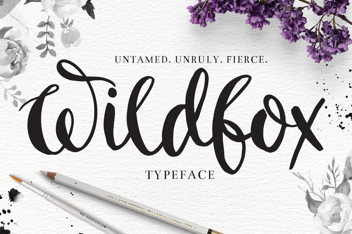 Wildfox Typeface-Hand drawn font, a Script Font by Shelly Laslo ...