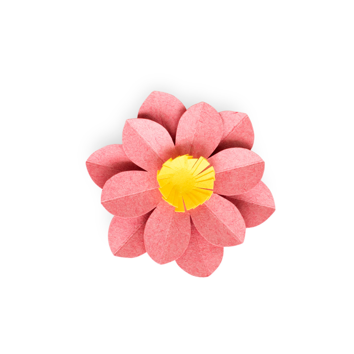 Paper craft flower collection png containing png, layer, and plants, an ...