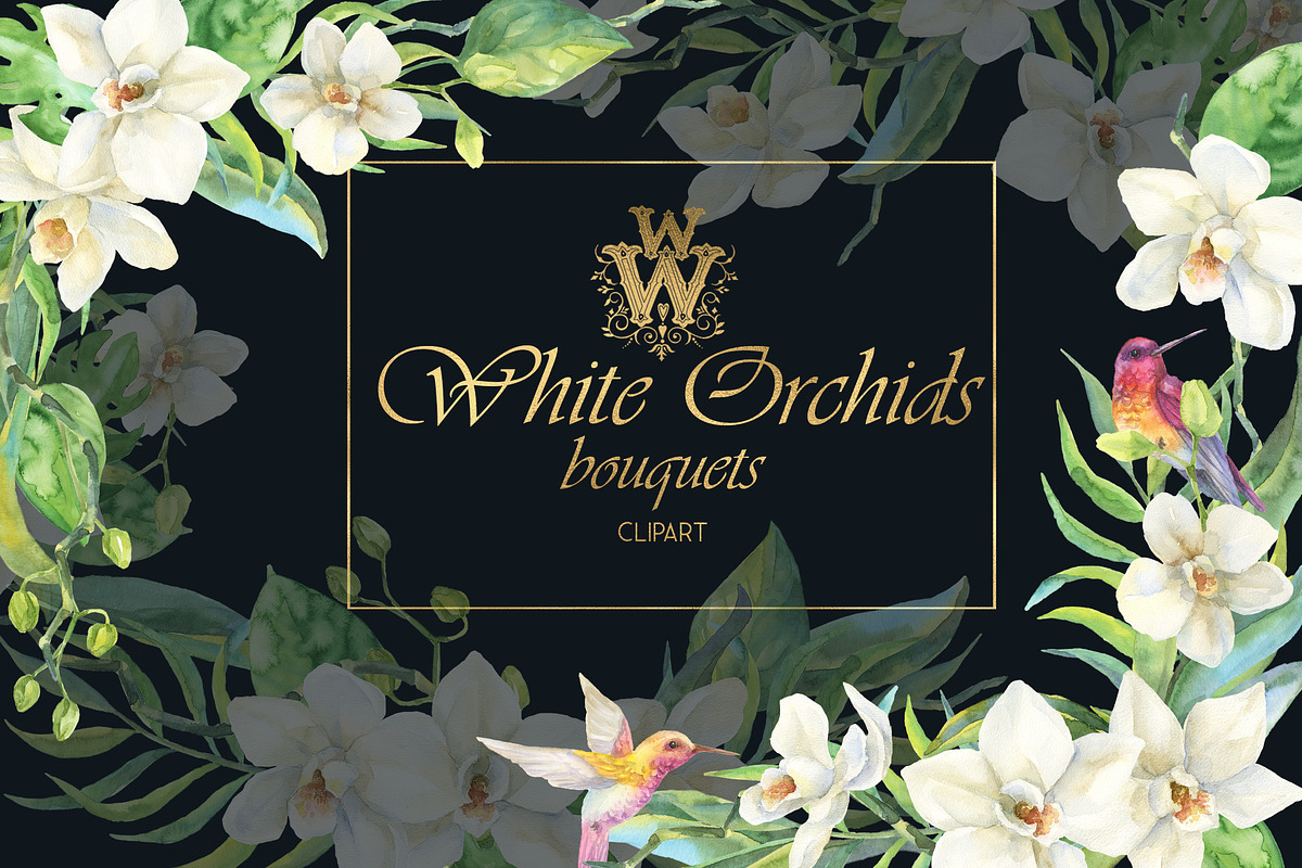 White Orchids Watercolor clip art, an Illustration by WonderWonder