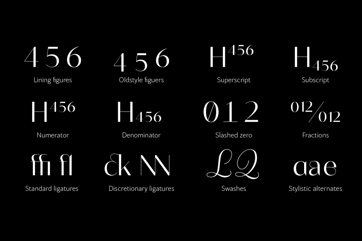 Blacker Sans - 60 + 3 variable fonts, a Sans Serif Font by Zetafonts