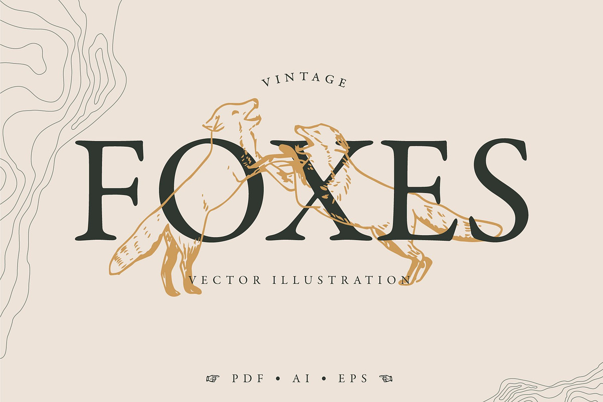 VINTAGE FOX LOGO & ILLUSTRATIONS, a Branding & Logo Template by Uncle Wiel