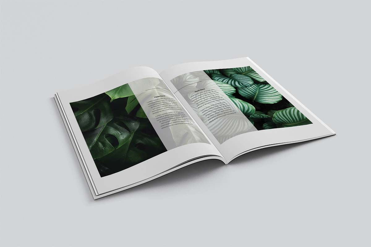Plant Catalog, a Magazine Template by AQR Studio
