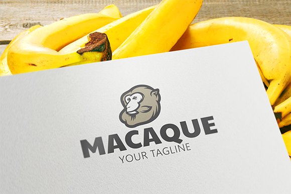 Macaque, a Branding & Logo Template by Steinar Logo