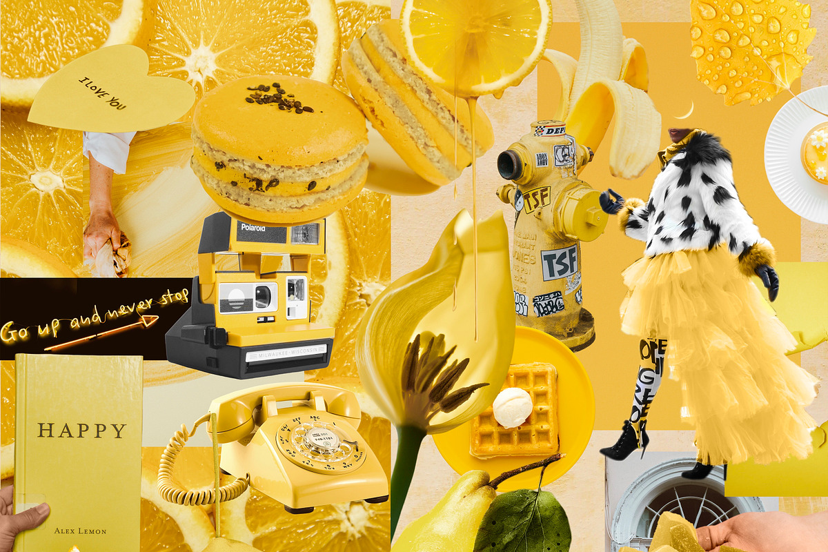 Metamorphosis. Collage pack, an Object Graphic by Purple | Creative Market