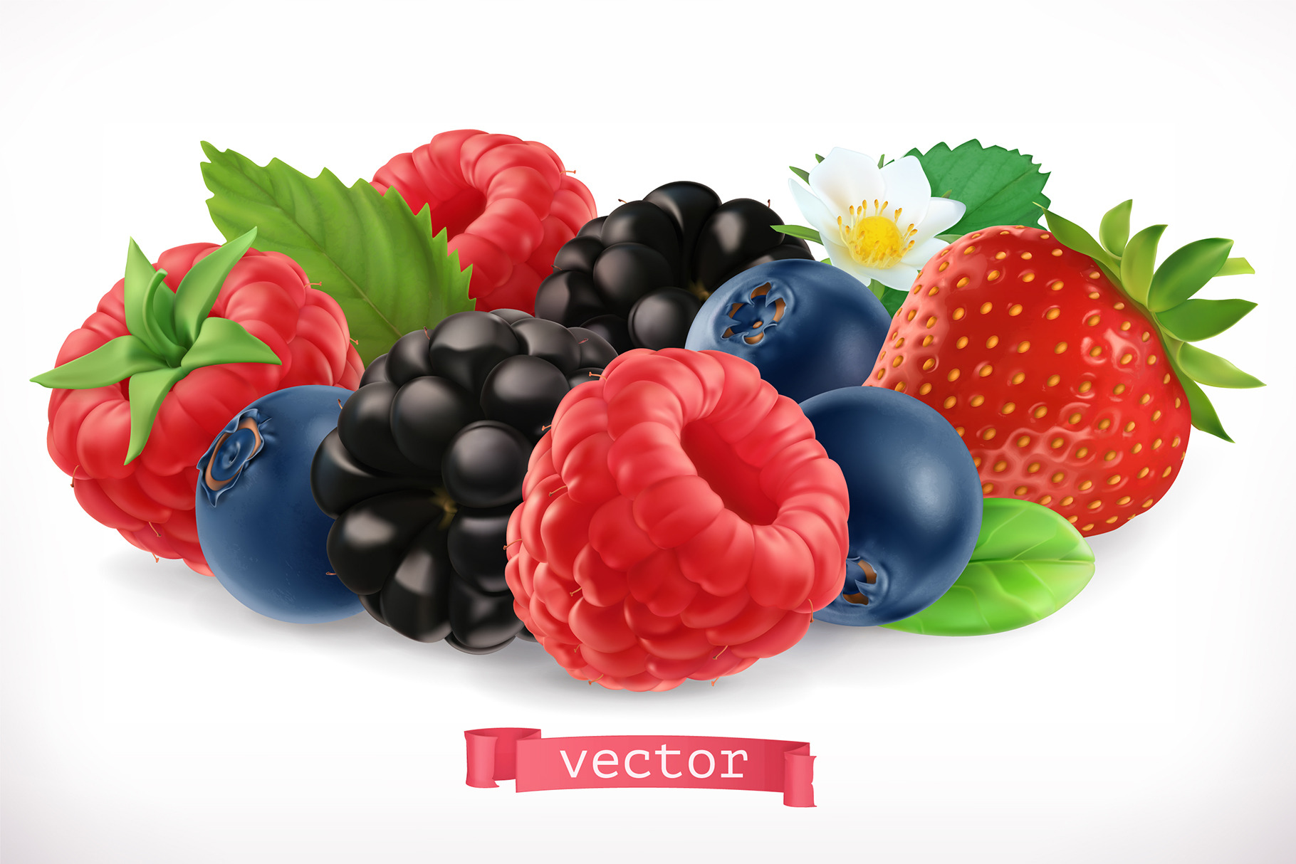 Raspberry, strawberry, blueberry set, a Food Illustration by ...