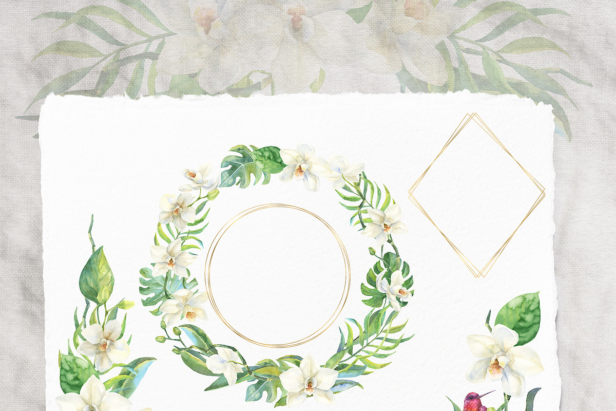 Watercolor tropical flower border, an Illustration by WonderWonder
