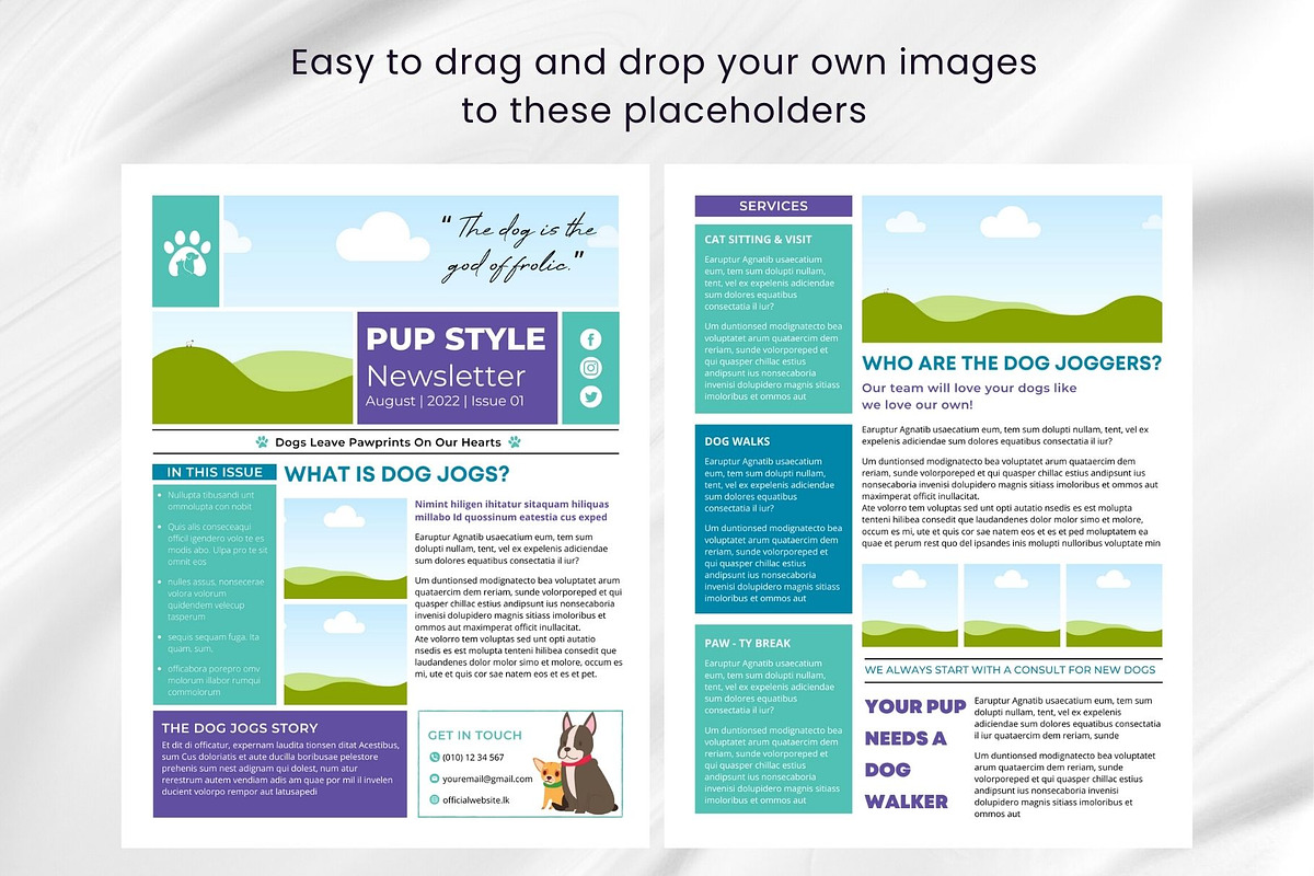 Canva newsletter template for pet dogs