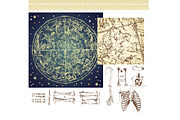 Human Skeleton, Bones, Celestial Map, an Illustration by GraphicMarket