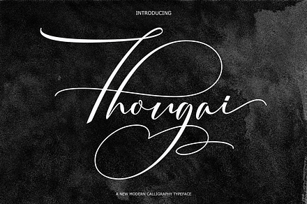 Sully Font Script, a Script Font by danti