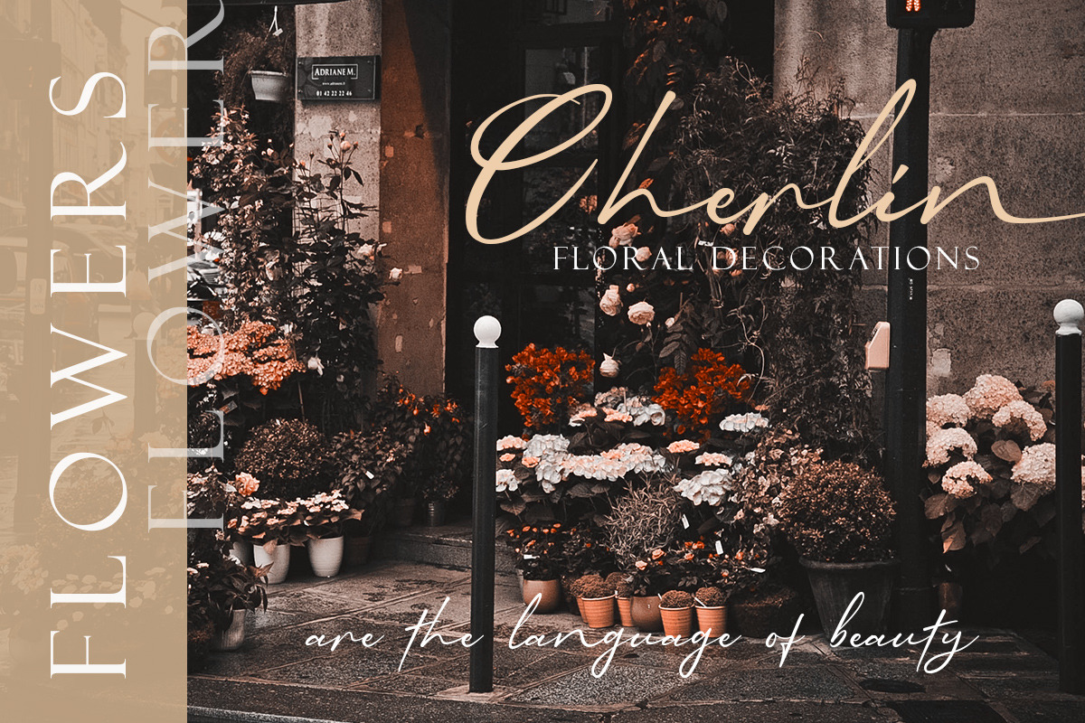 Timothy Script, a Script Font by Letterhend Studio