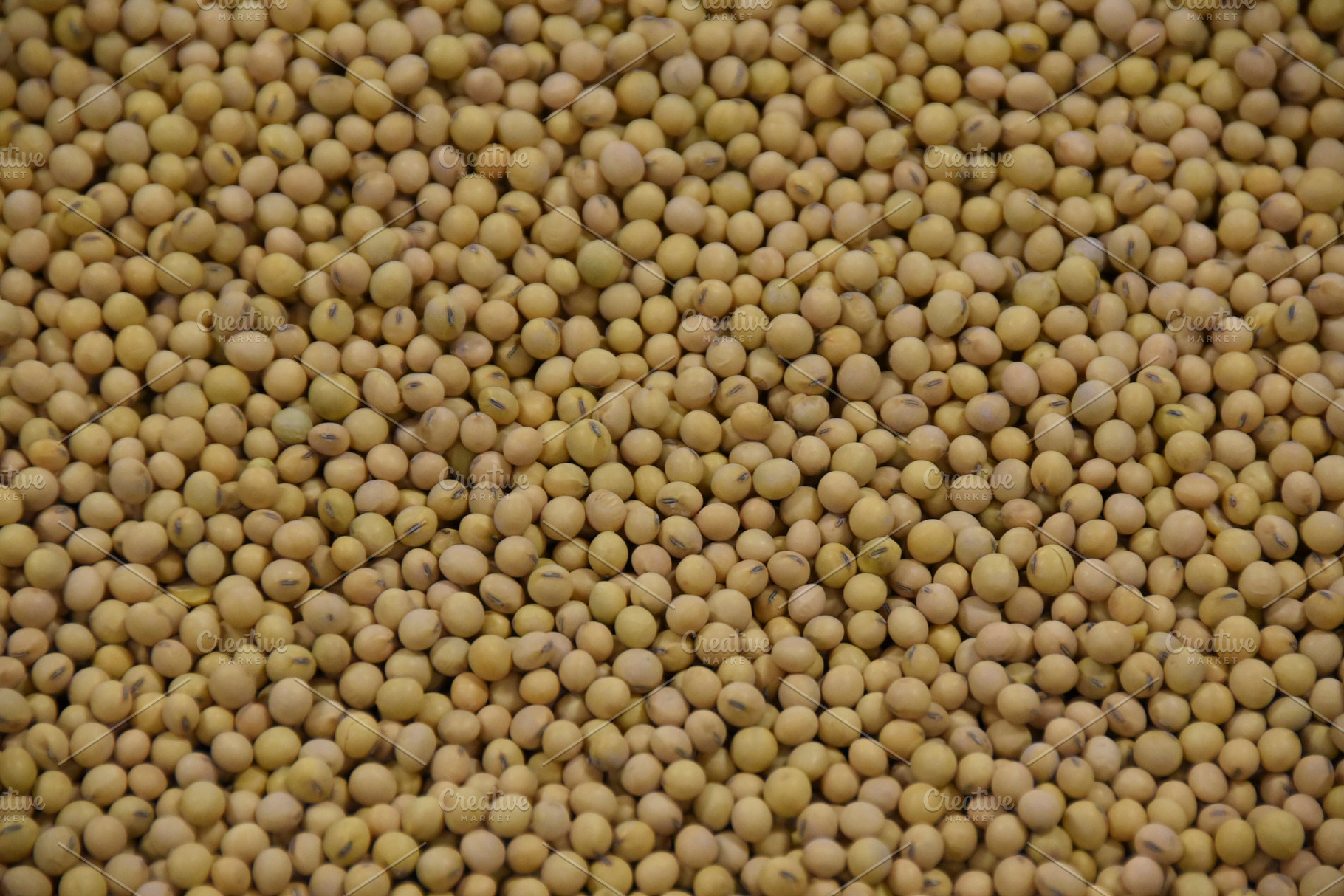 Soybean Background, a Nature Photo by EA Photography & Design ...