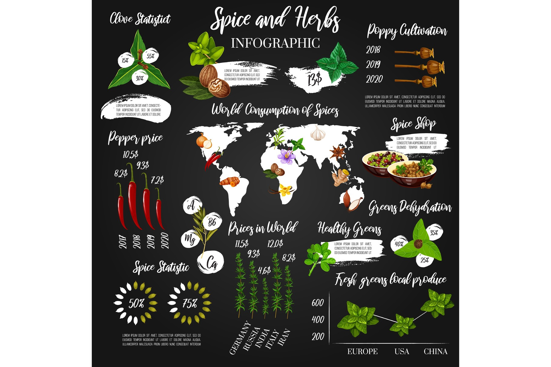 Spices and herbs infographics, a Food Illustration by Vector Tradition