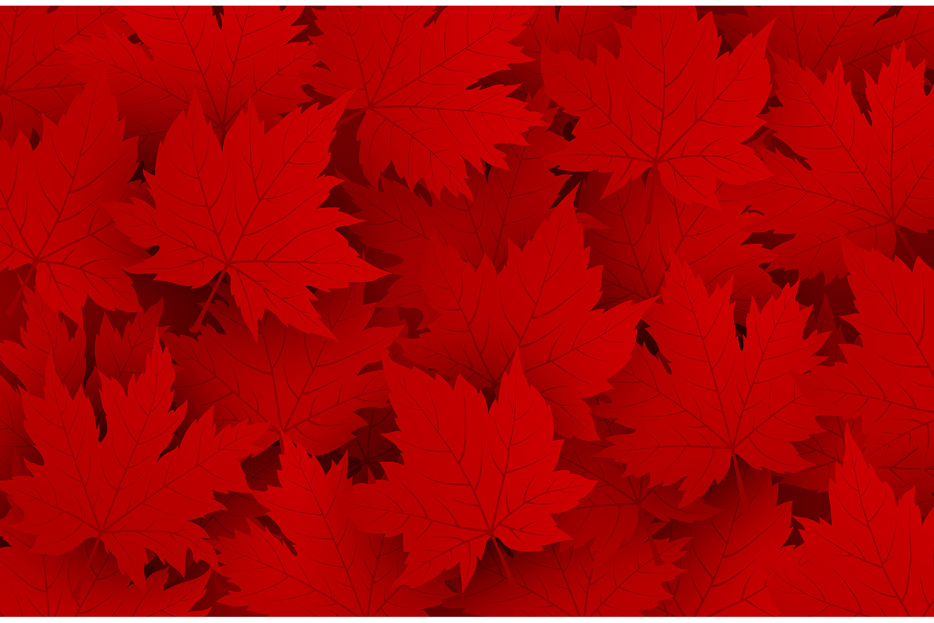 Red maple leave background | Decorative Illustrations ~ Creative Market