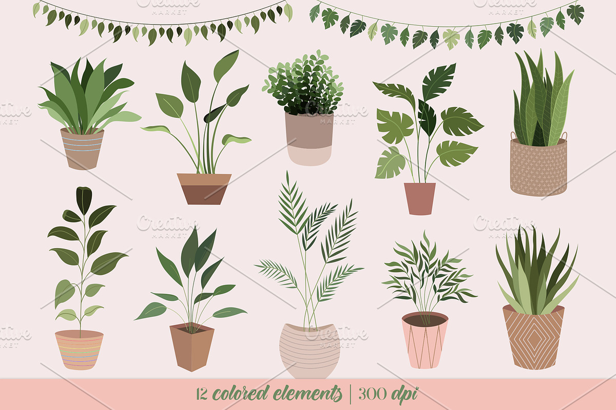 House Plants Clip Art Vector & Png, a Decorative Illustration by ...