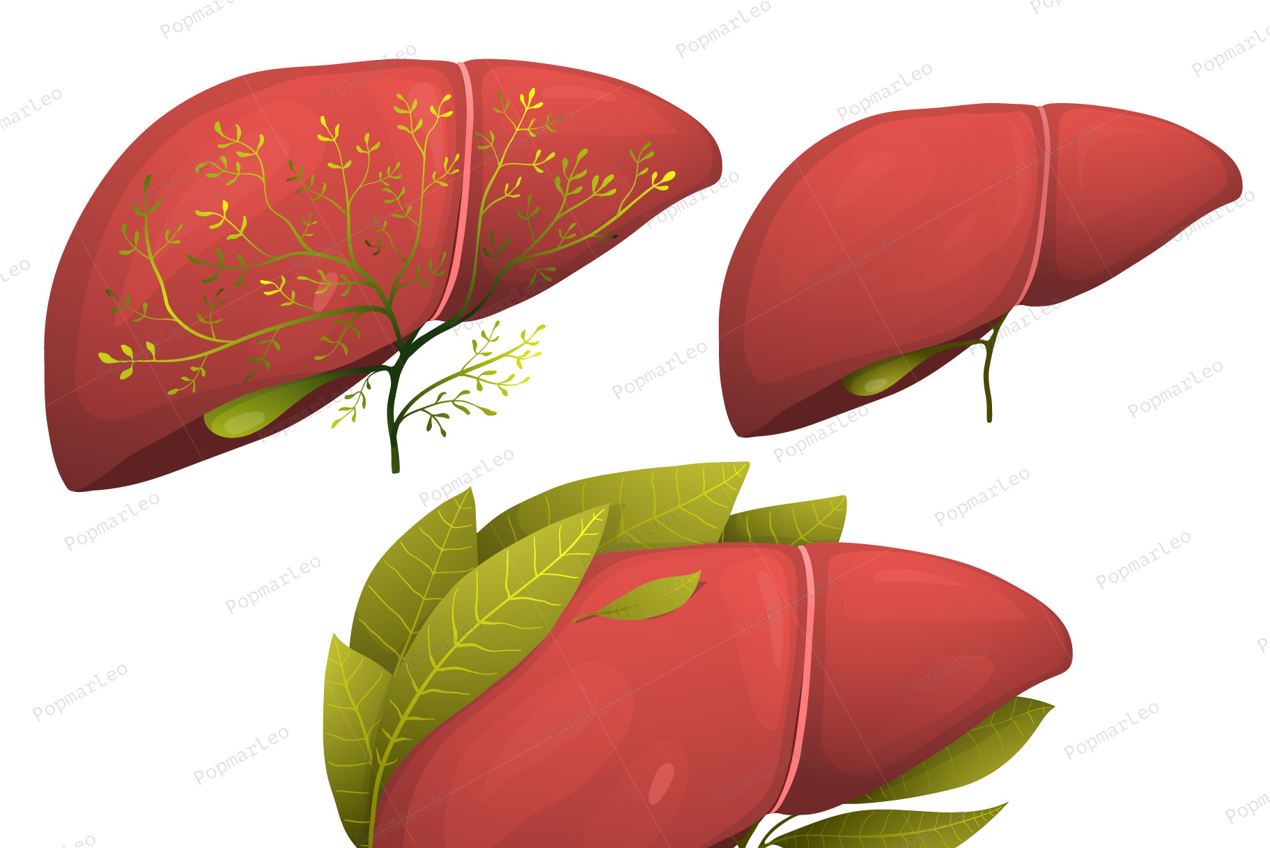 Healthy liver Floral design | Food Illustrations ~ Creative Market