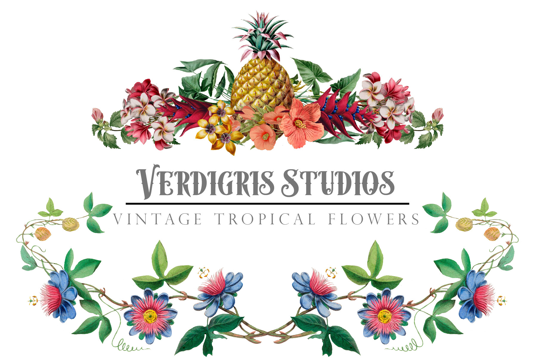 Vintage Tropical Flower Graphics, an Illustration by Verdigris Studios