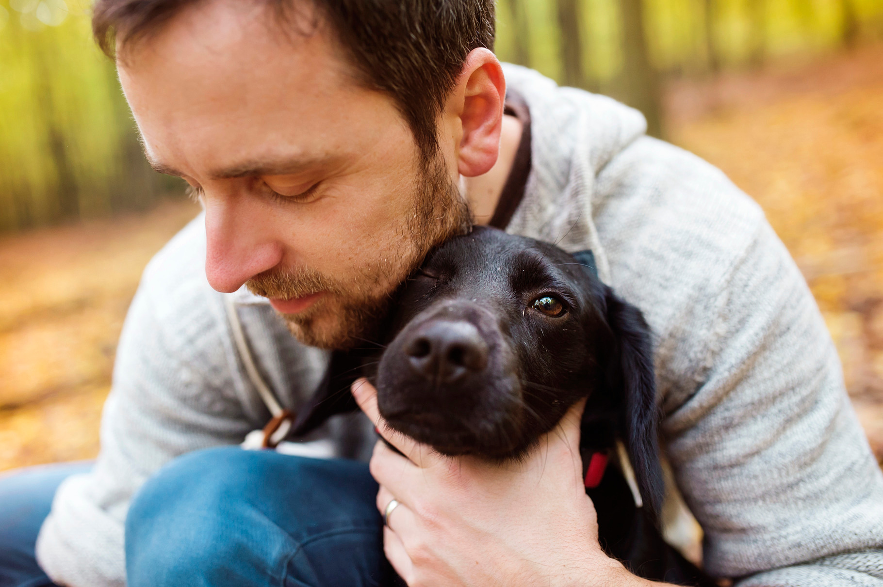 Man with his dog stock photo containing forest and autumn, a Nature ...