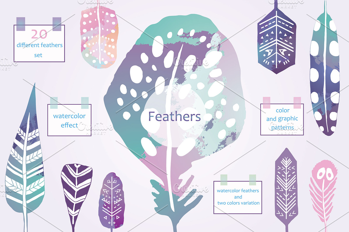 Feathers, an Animal Illustration by GooseFrol