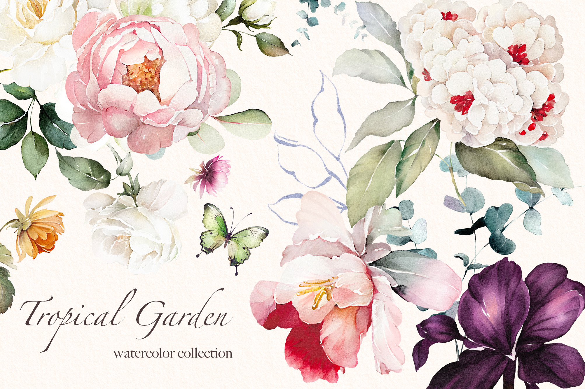 Watercolor tropical flowers, a Decorative Illustration by Lisima